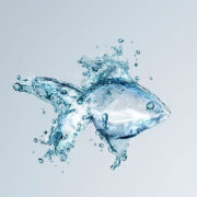 Aqua Fish - HUAWEI Themes & Watch Faces